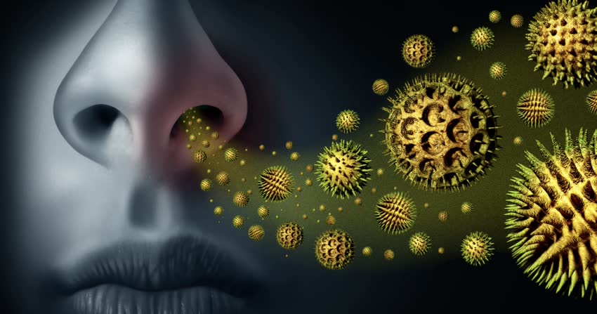 Guida completa alle allergie respiratorie